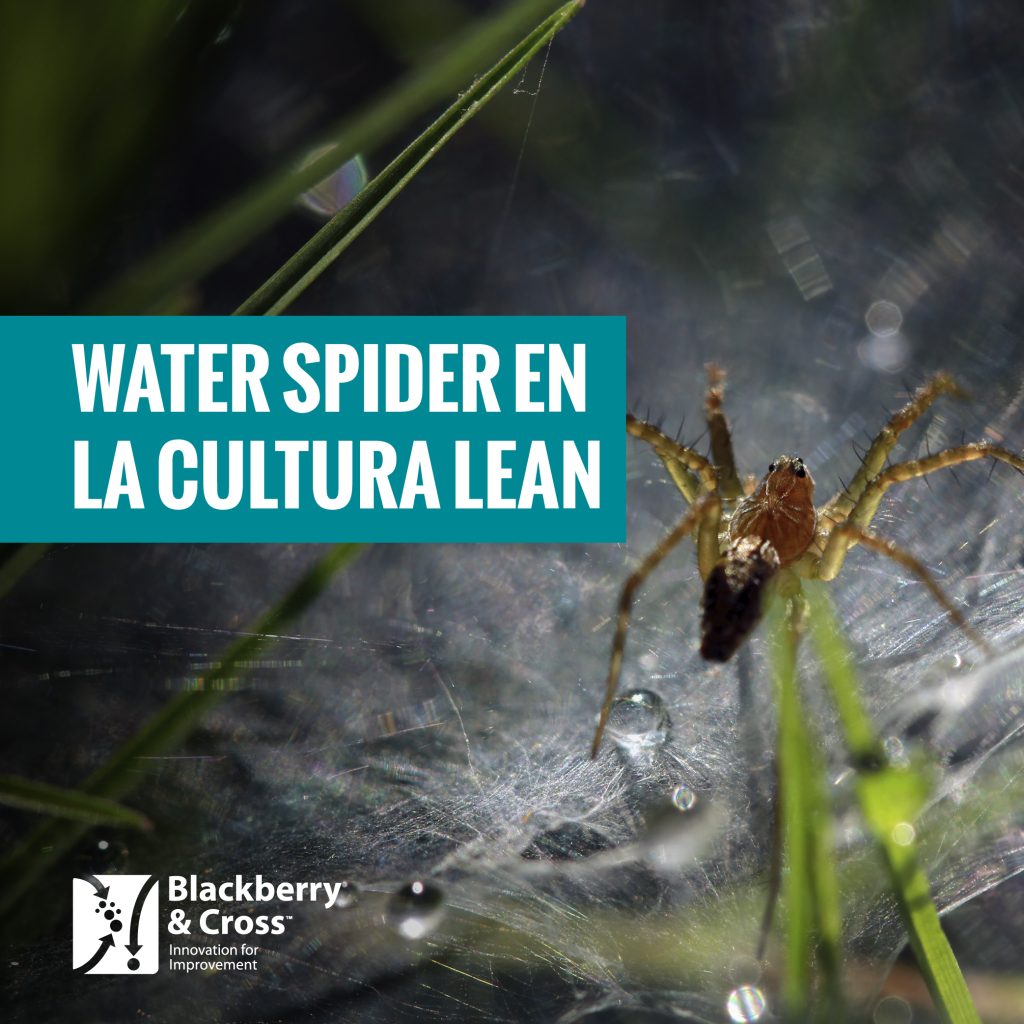 Water Spider en la cultura LEAN